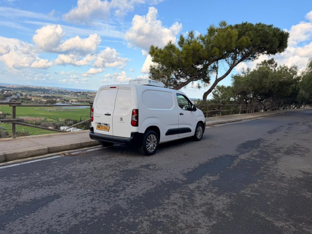 Peugeot Partner Professional 1.5 BlueHDI - Drive Auto Import